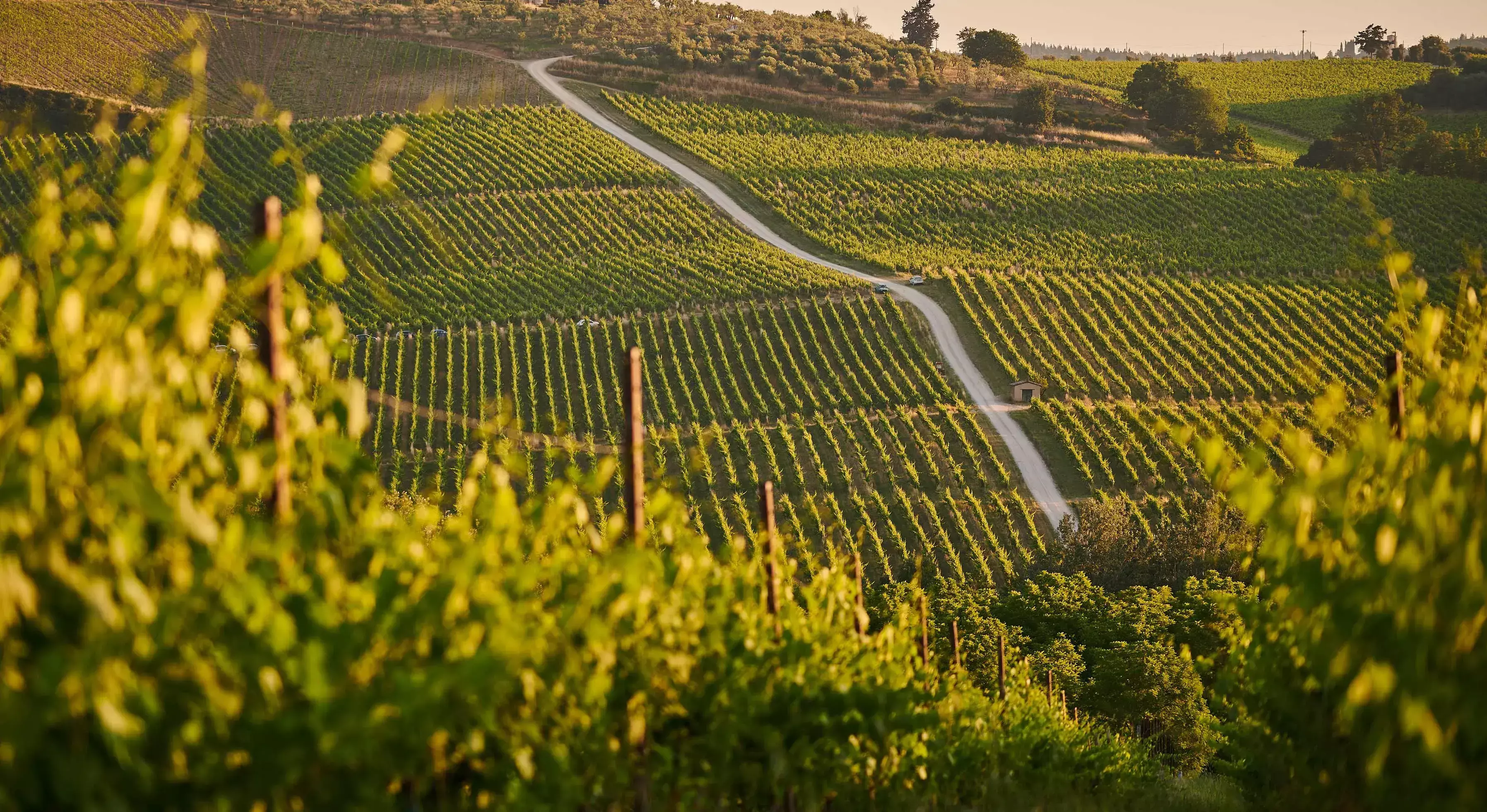 Media Kit | WineStone Group